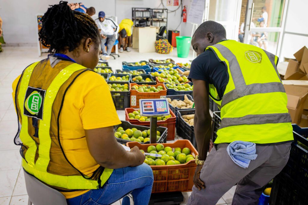 AI Transform Food Systems and How Food Banks Help